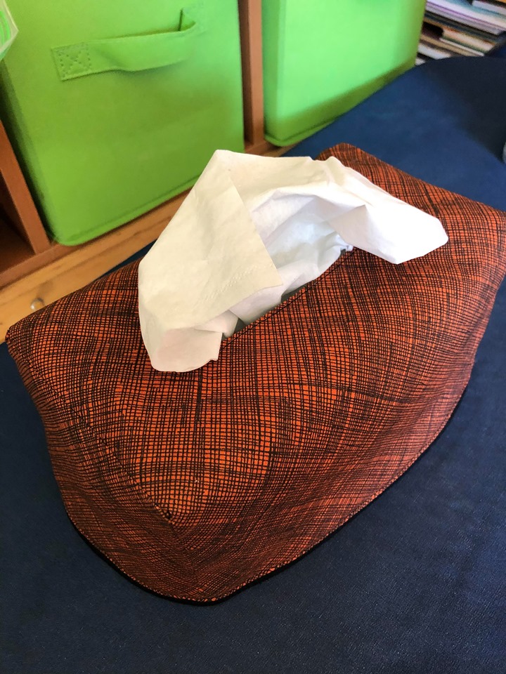 Double-sided tissue box cover pattern | Frankenstein's Fabrics